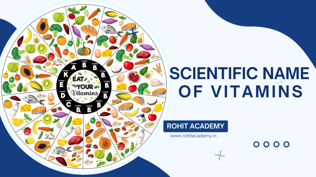 Scientific Names of Vitamins and their Sources